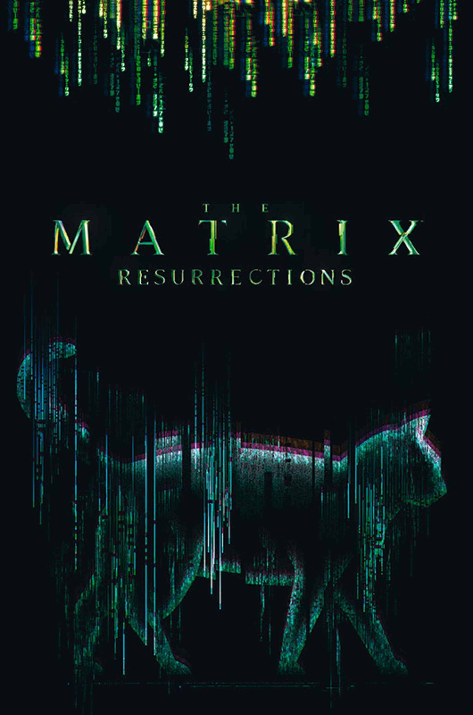 Poster The Matrix Cat 61x91,5cm | Yourdecoration.co.uk