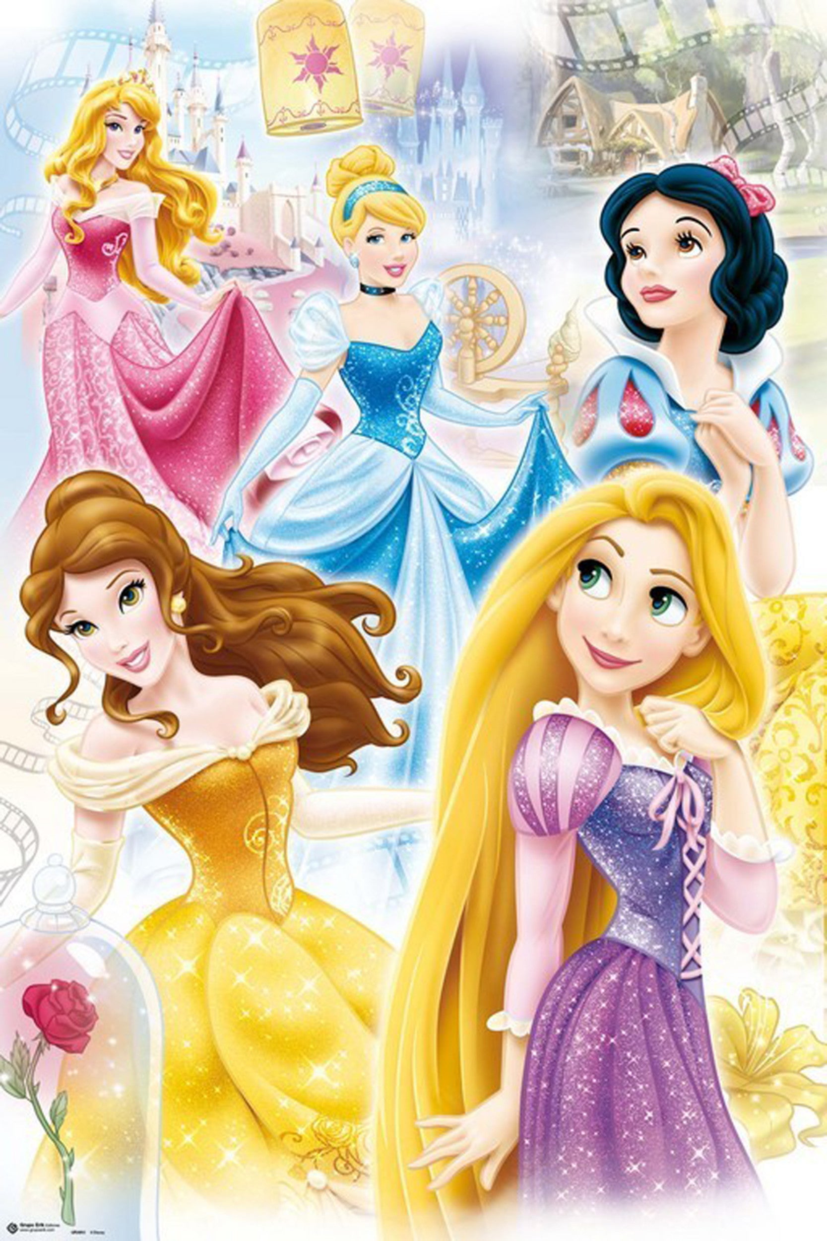 Poster Disney Princess Group 61x91,5cm | Yourdecoration.co.uk