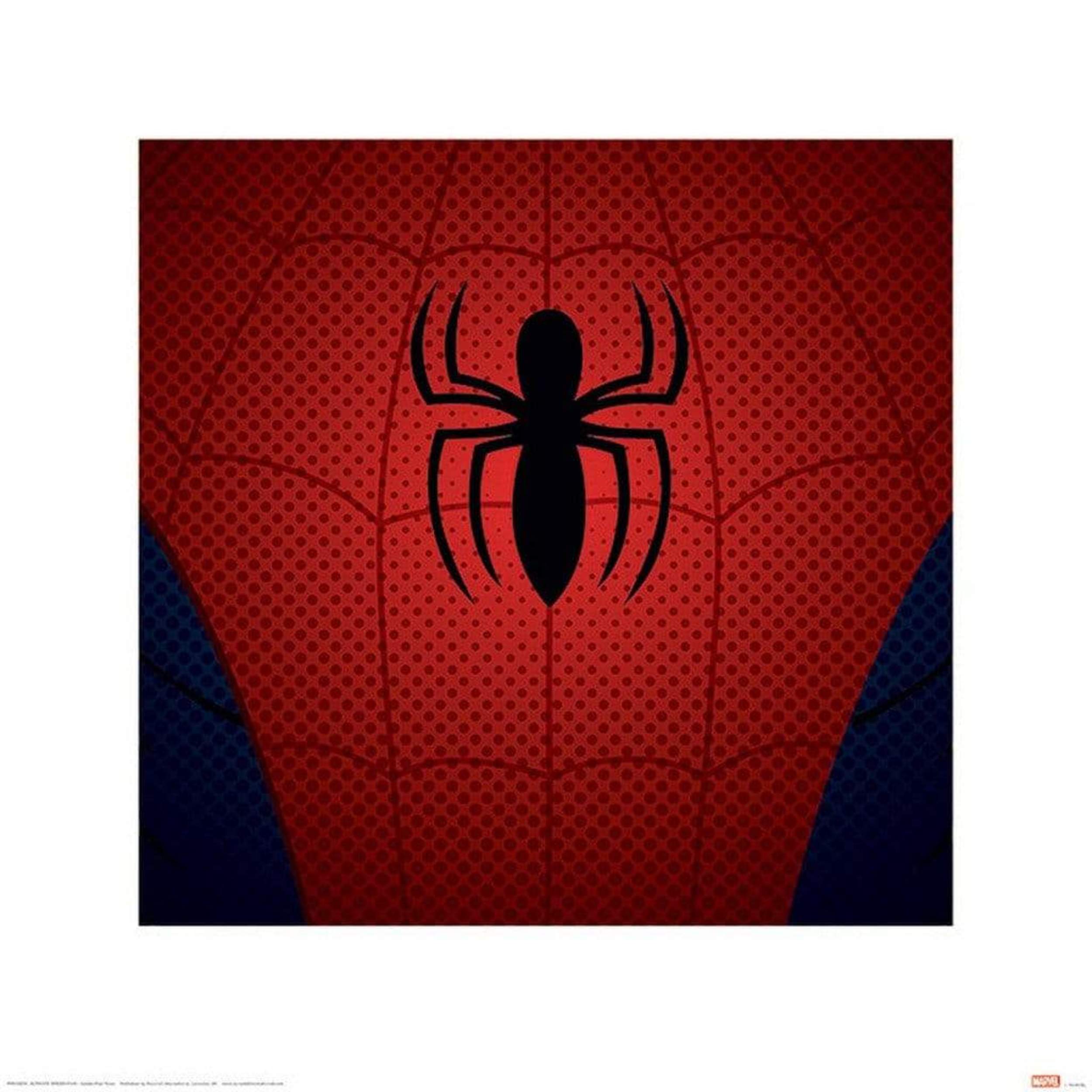 Poster Ultimate Spider-Man Spider-Man Torso 40x40cm